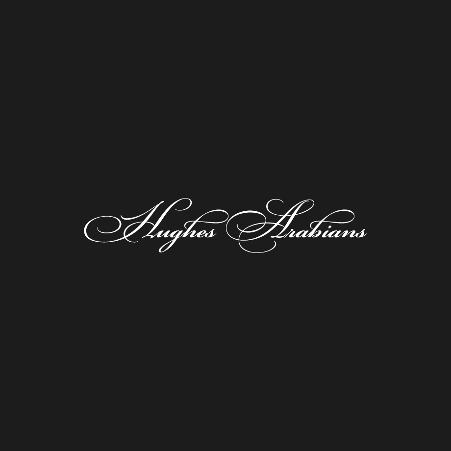 Black Arabian Horses for Sale at Hughes Arabians :: Hughes Arabians